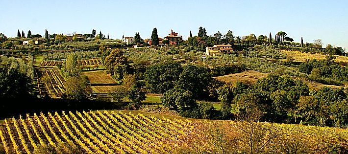 Paesaggi agricoli e rurali storici. Sei novità nel Registro italiano - Universofood