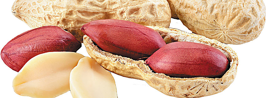 arachidi made in italy - Universofood